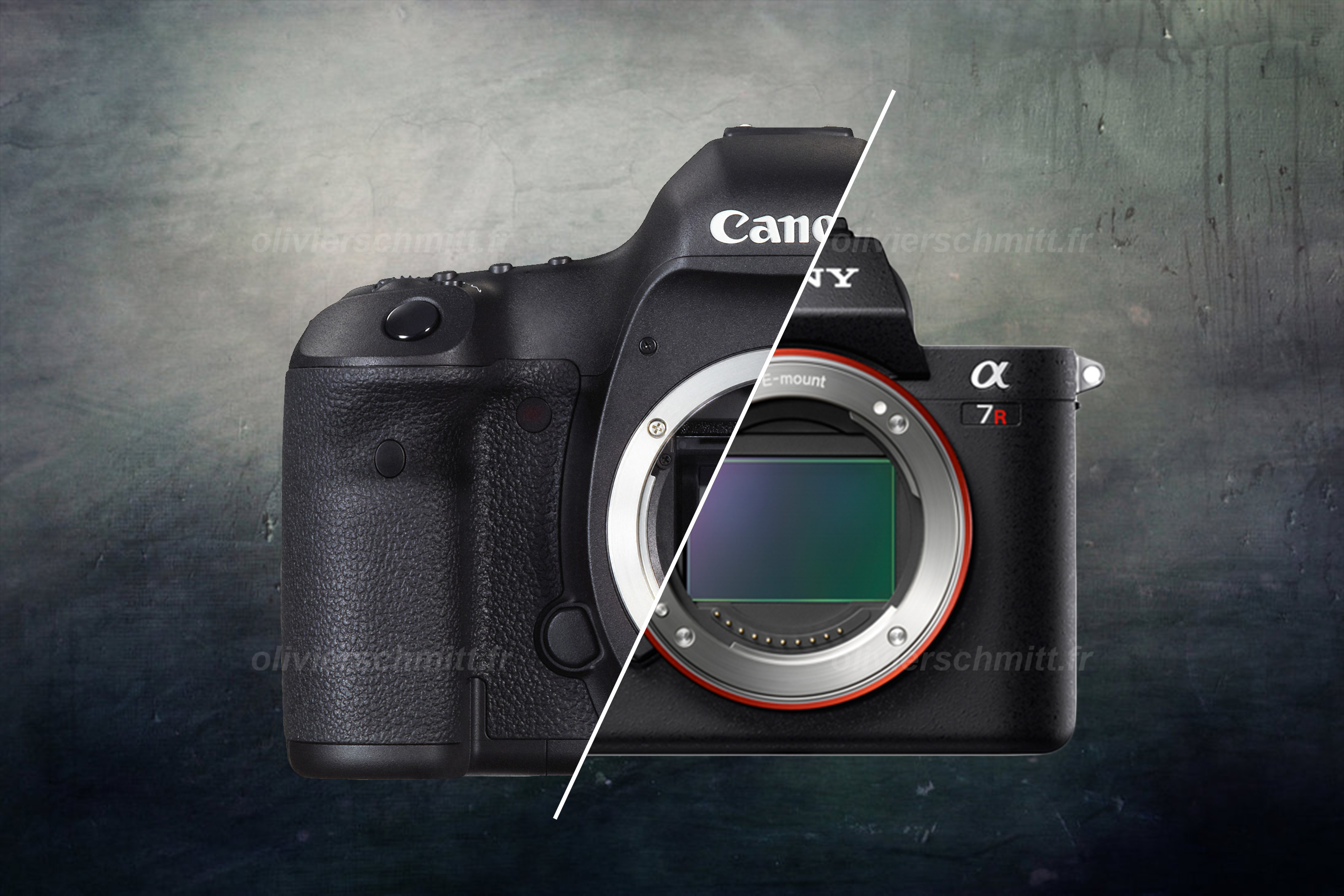 Photographe pro : Passer du reflex à l’hybride, mon retour sur ...